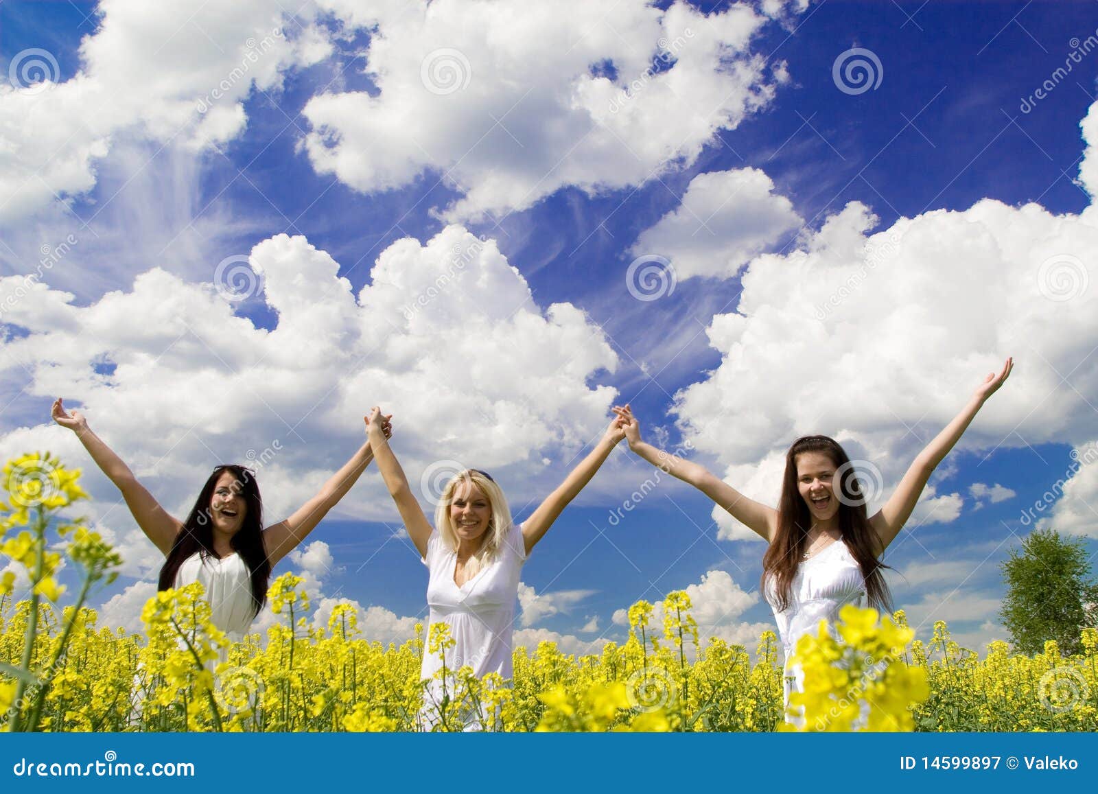 Three young woman in field stock image. Image of friend - 14599897
