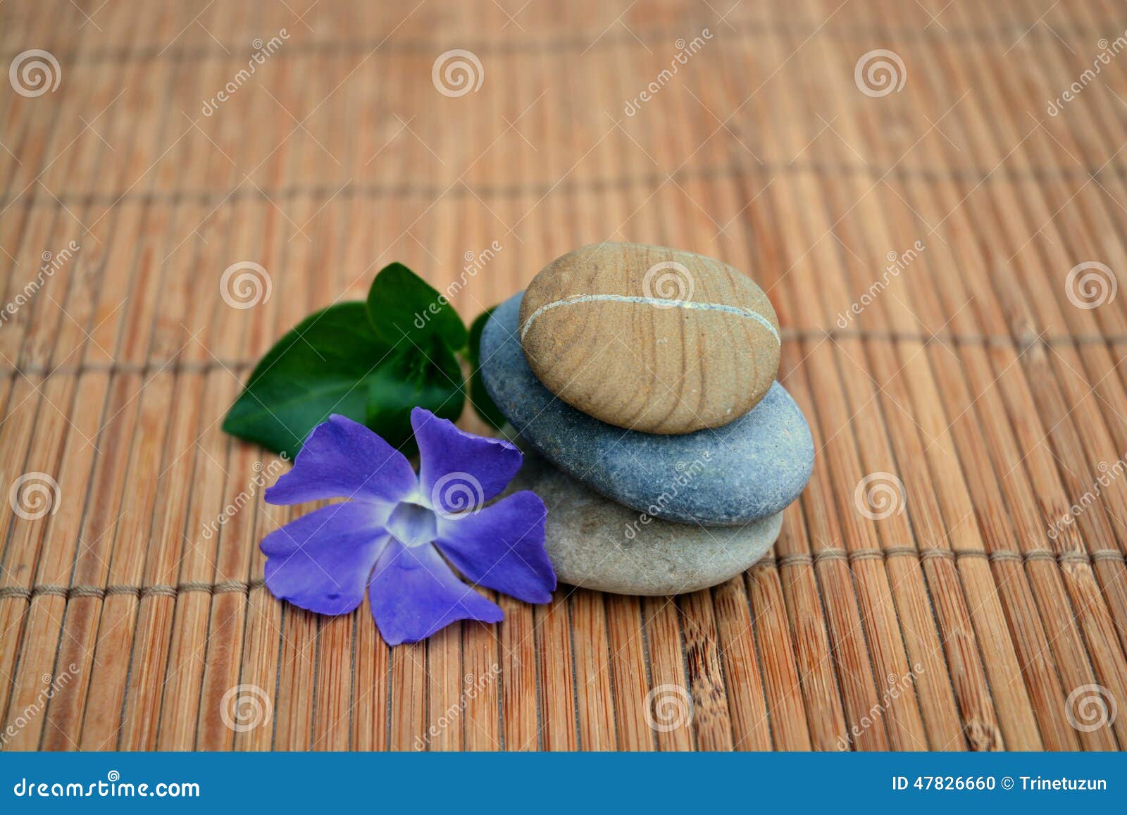 Three Zen Stones with Flower on Bamboo Reed Background Stock Photo ...