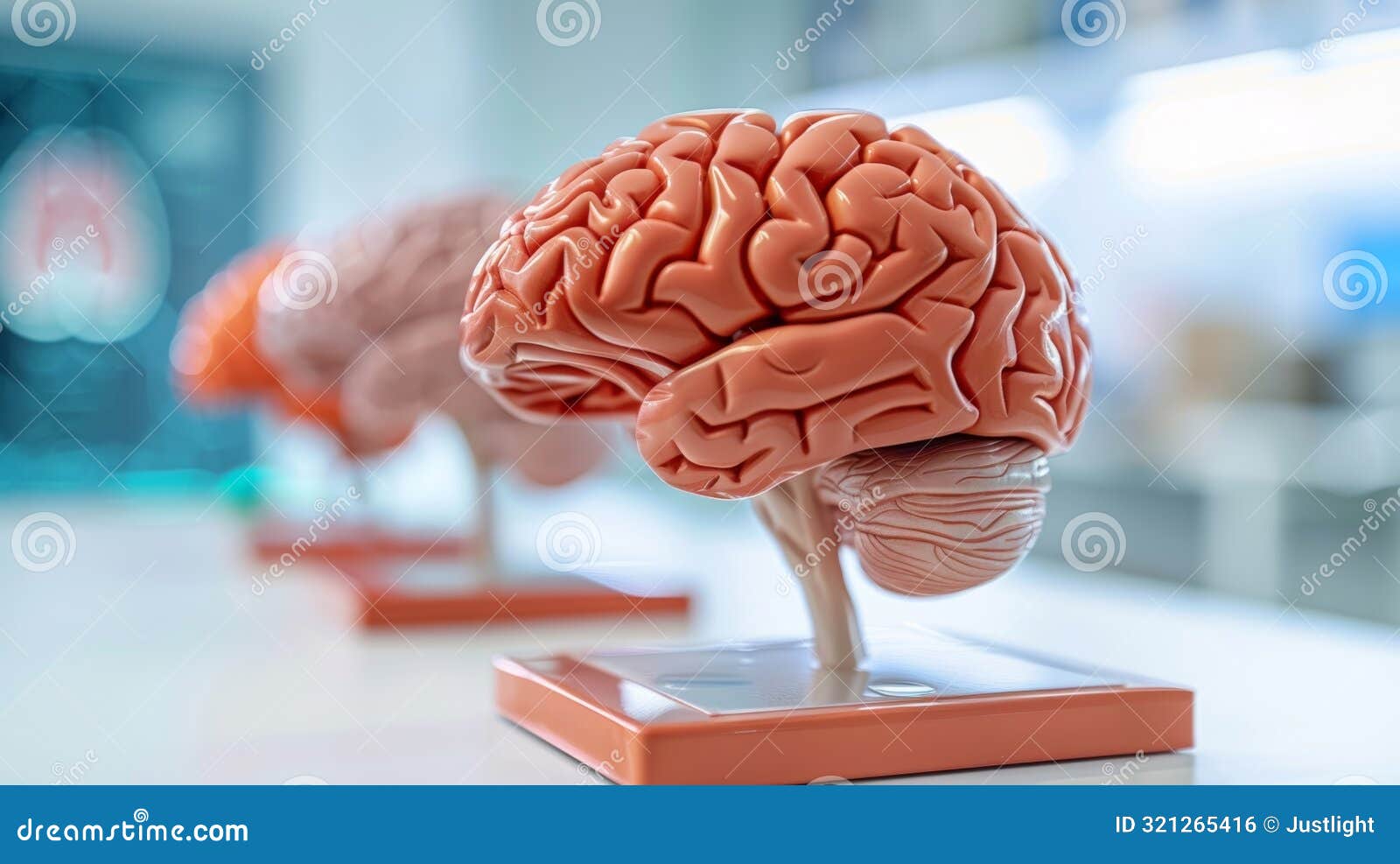 Threedimensional Brain Model Being Used As a Visual Aid during a ...