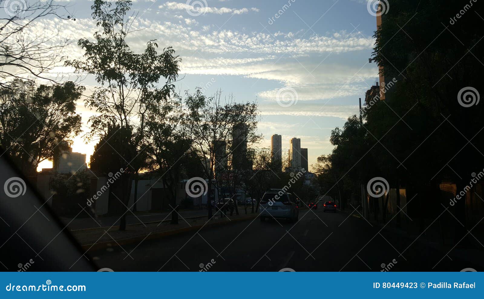 Threes in the sunset stock image. Image of sunset, threes - 80449423