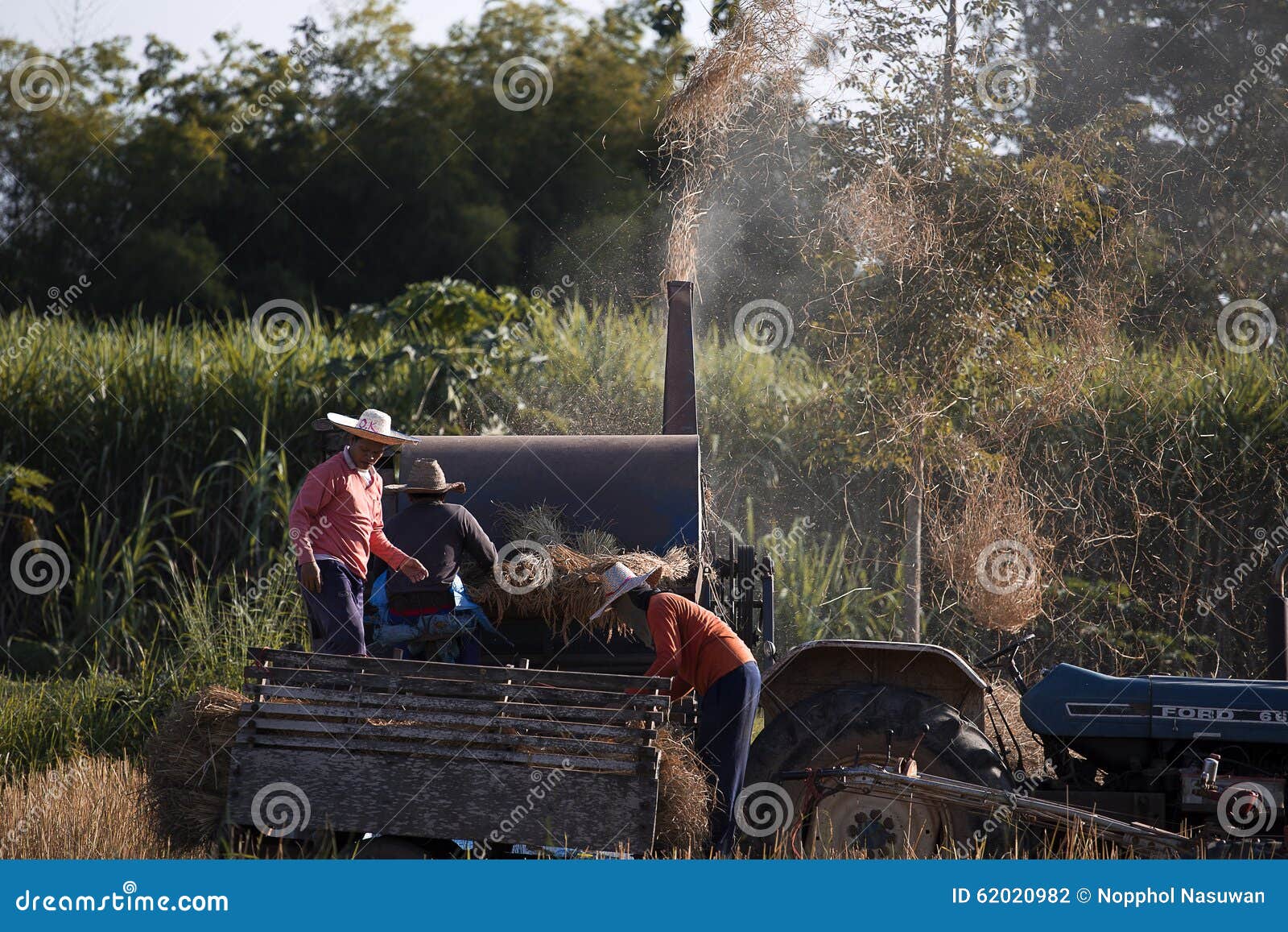 Thresh editorial photography. Image of farms, small, farming - 62020982