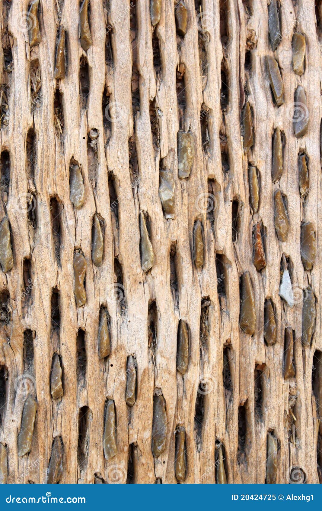 Threshing board stock image. Image of flint, class, cattle - 20424725