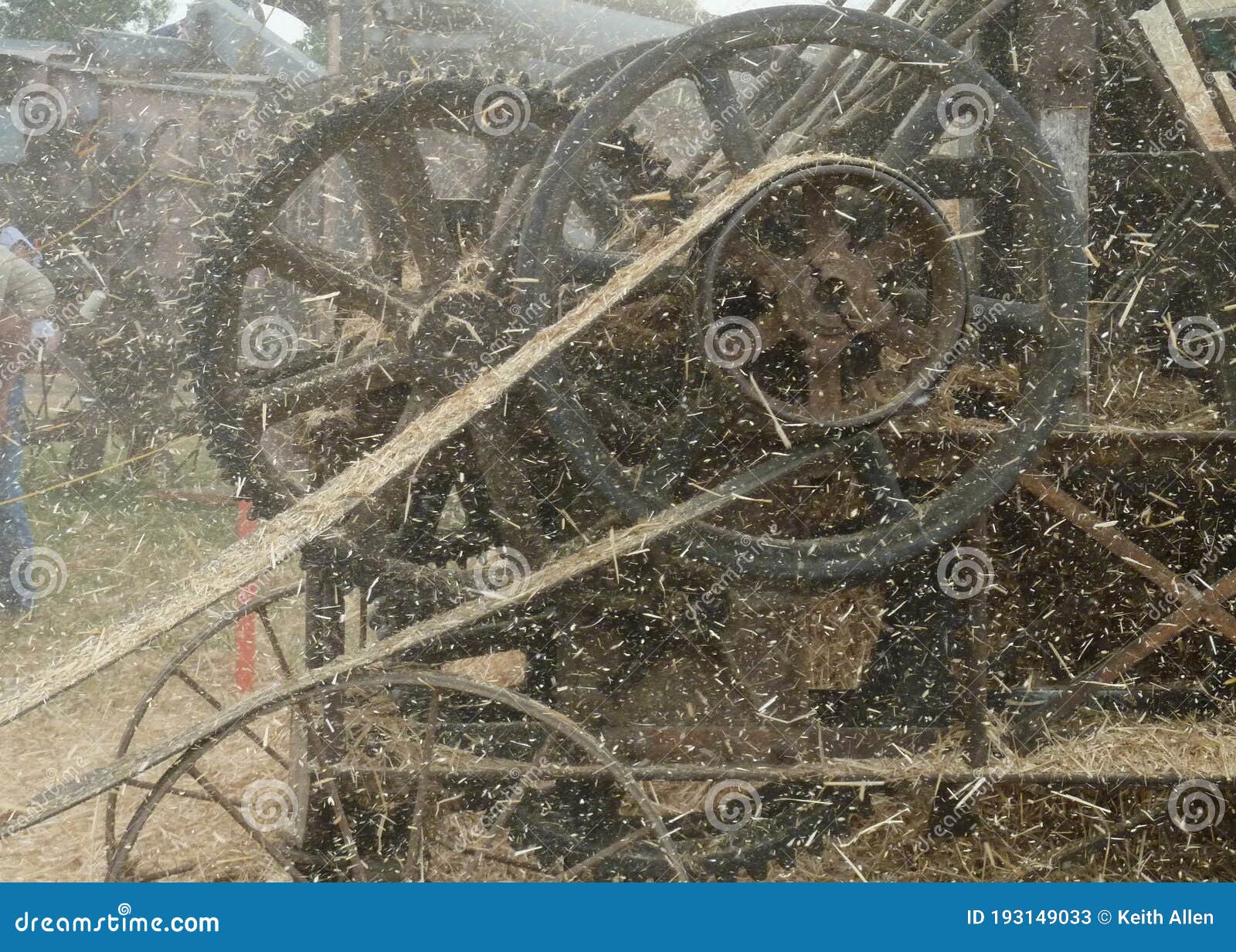 Threshing the Grain- a Threshing Machine in Operation Stock Image ...
