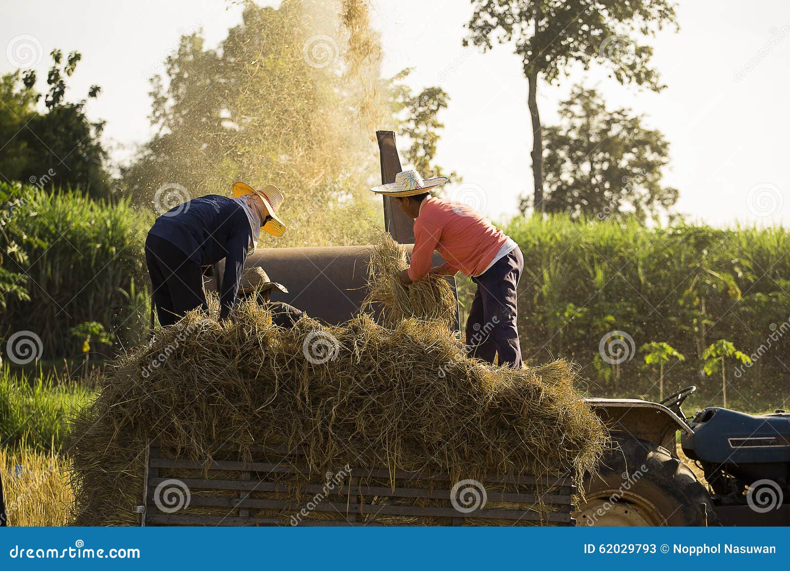 Threshing editorial stock photo. Image of revolving, small - 62029793