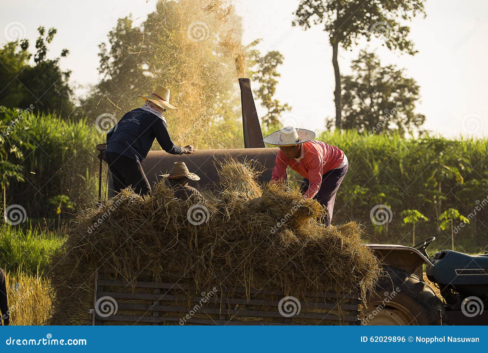 Threshing editorial photo. Image of hauling, separates - 62029896