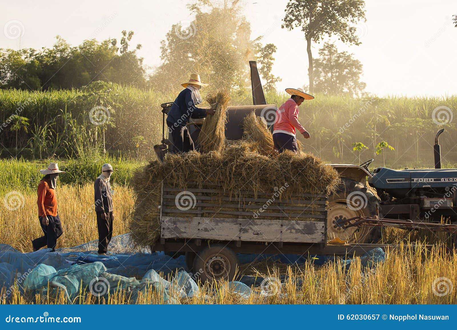 Threshing editorial photography. Image of action, mechanism - 62030657