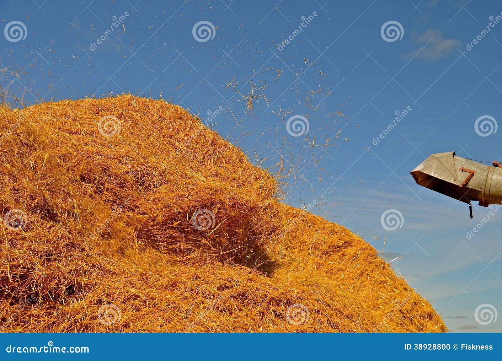 Chaff Blowing Out Behind A Combine Harvester Stock Photo ...
