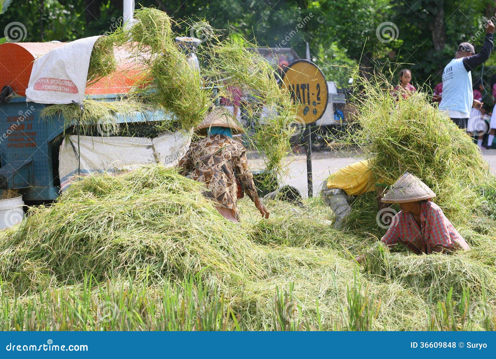 Threshing tool editorial stock photo. Image of boyolali - 36609848