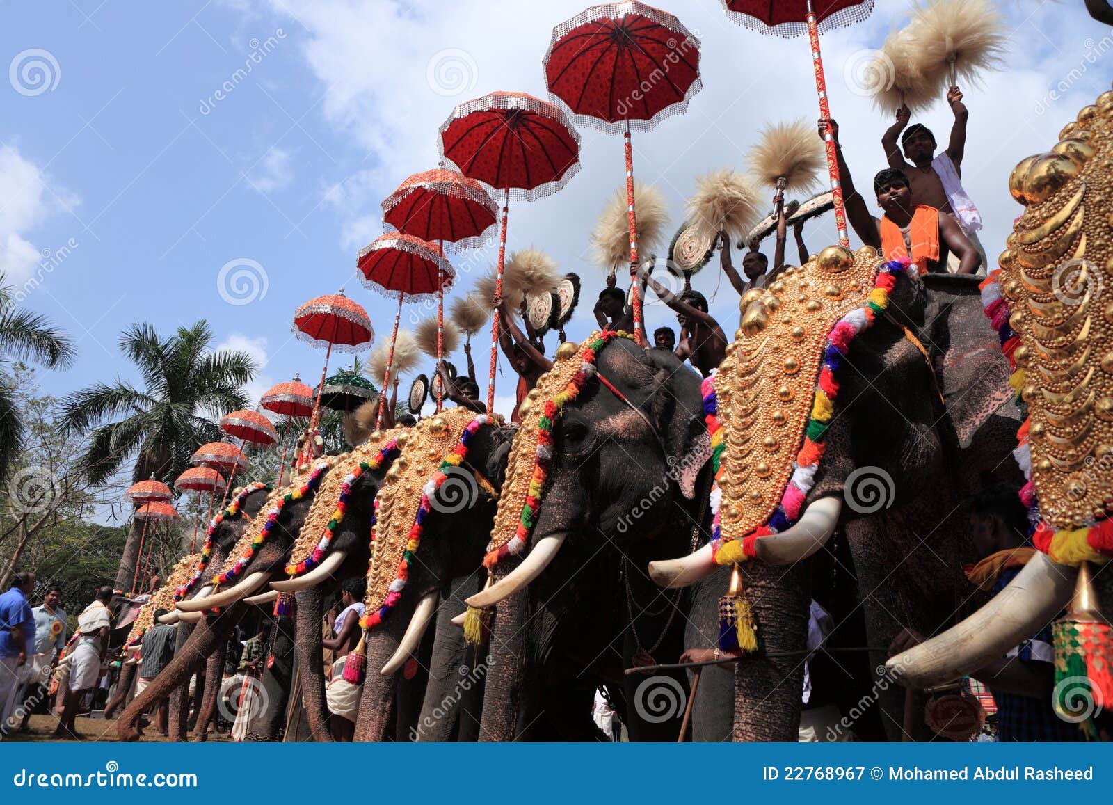 Thrissur Pooram editorial photography. Image of elephant - 22768967