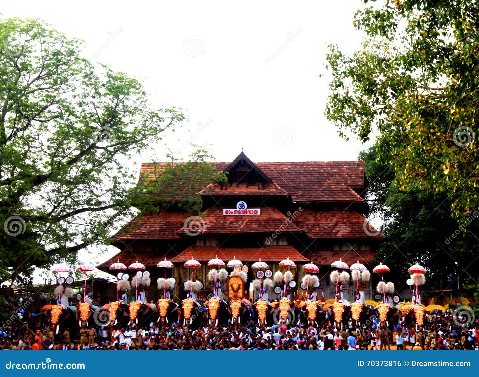The Thrissur Pooram editorial photo. Image of green, trees - 70373816