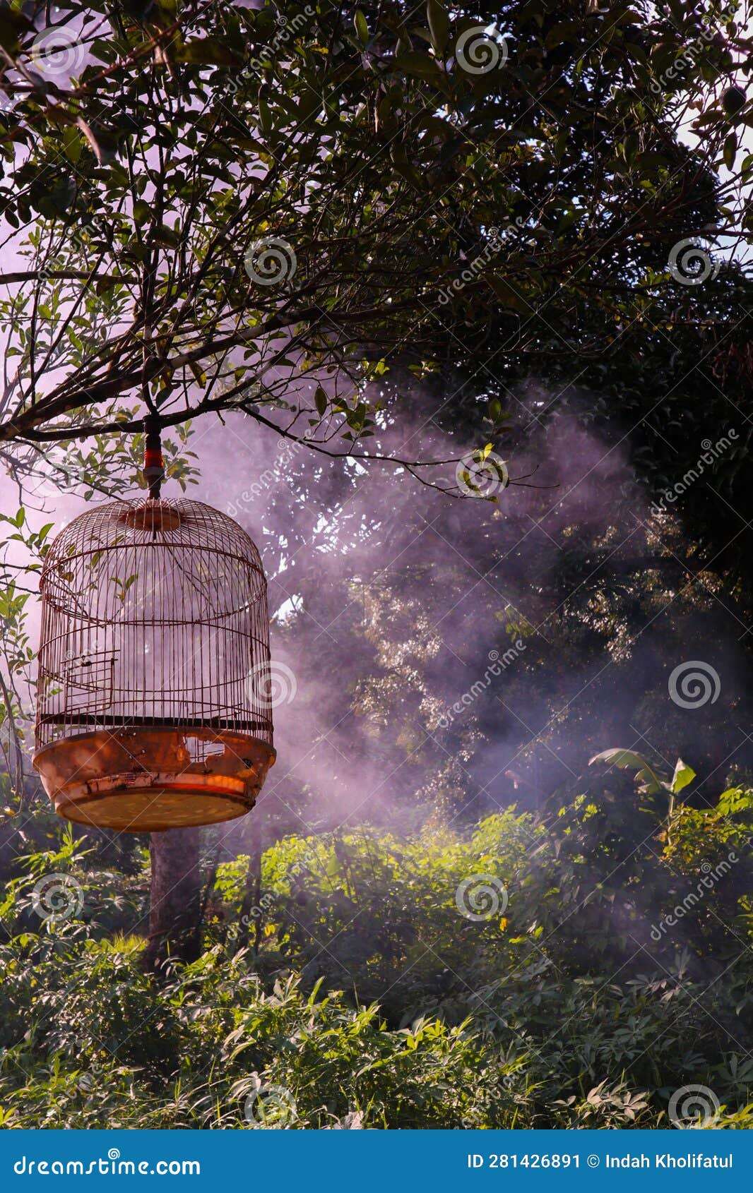 Thriving Tree Reaches for Sunlight in Natural Landscape Stock Image ...