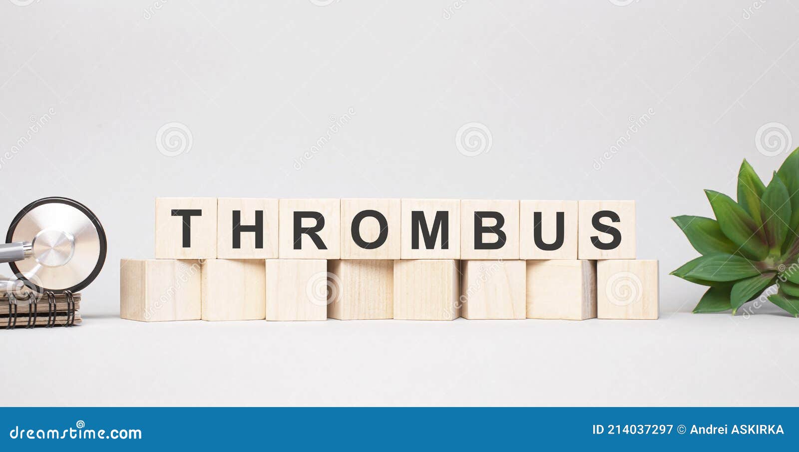 Thrombus Inside Vein, Light Micrograph Royalty-Free Stock Image ...