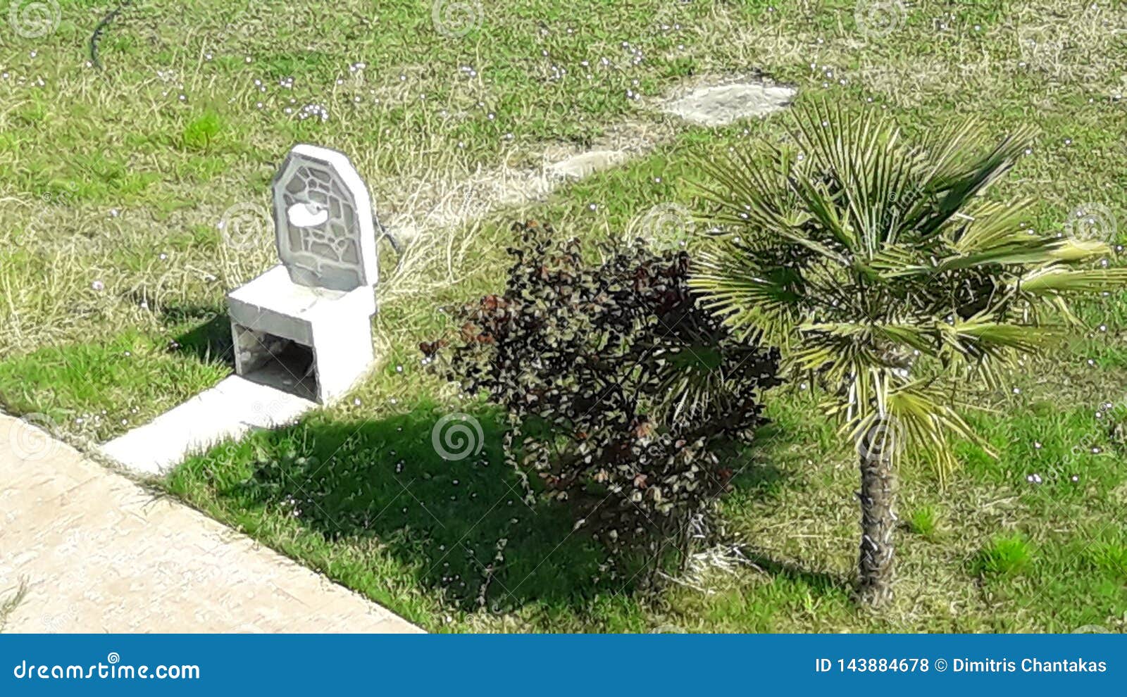 Throne stock photo. Image of tree, country, grass, water - 143884678