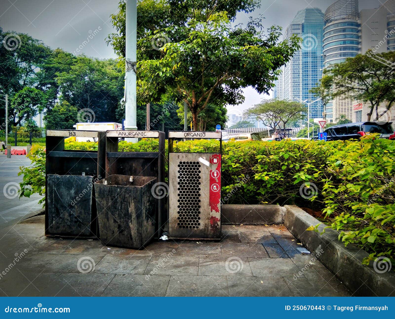 Throw garbage in its place stock image. Image of garbage - 250670443