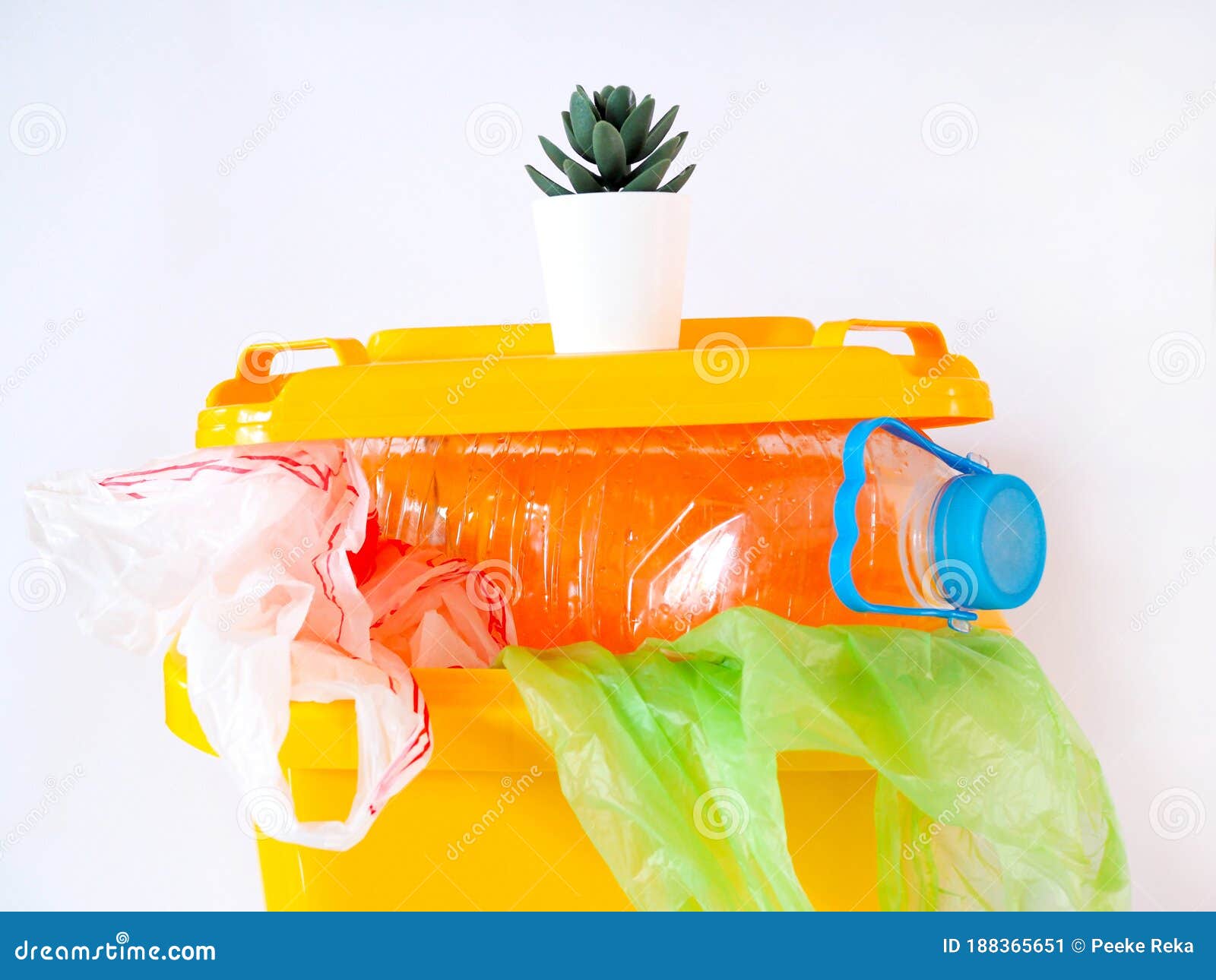 Throw the Plastic Waste into the Trash Recycling Bins Stock Image ...