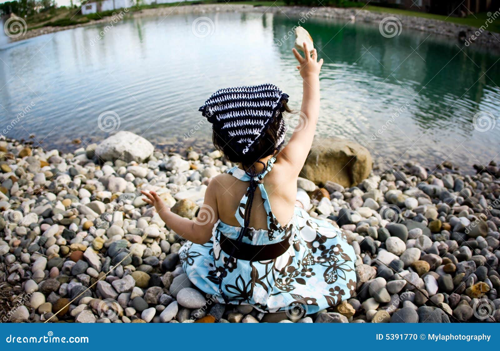 Throwing rocks stock photo. Image of gardening, fisheye - 5391770