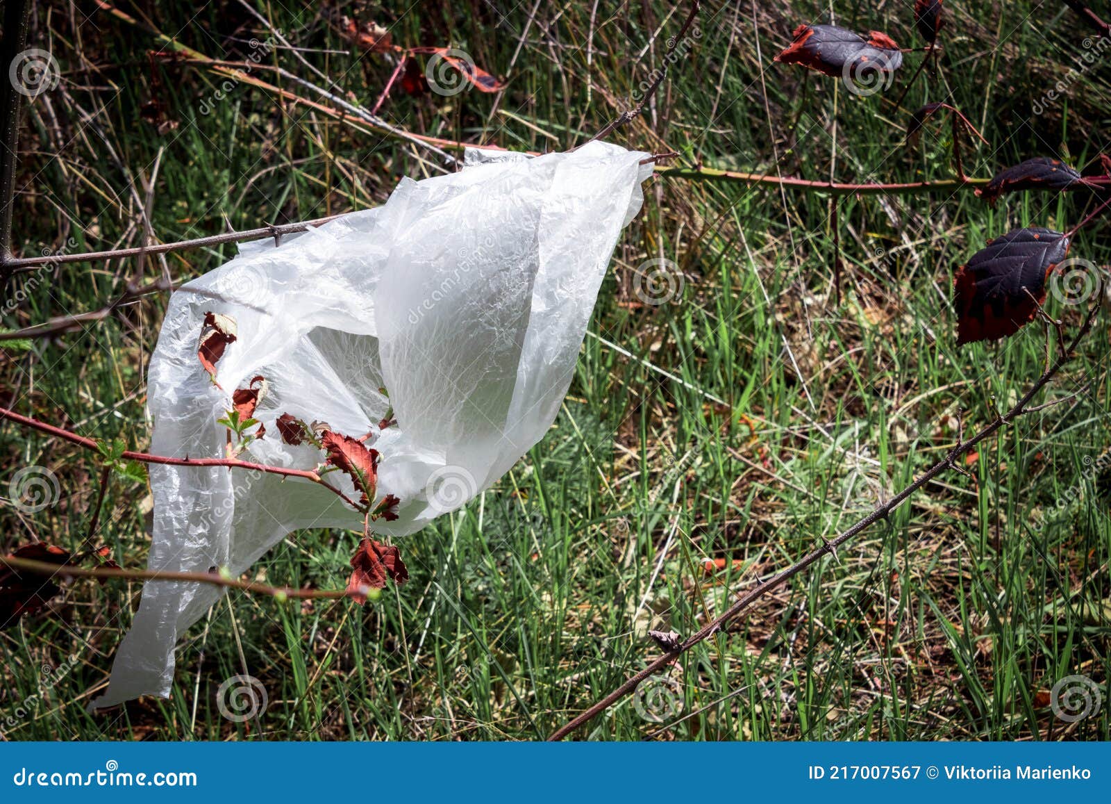 Thrown a Cellophane Bag on the Grass Stock Image - Image of ground ...