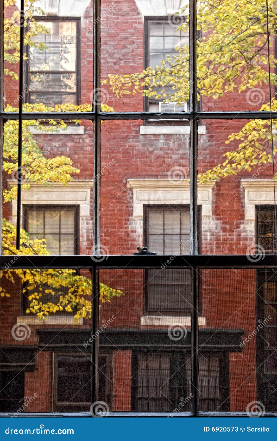 Thru the window stock image. Image of outdoors, leaves - 6920573