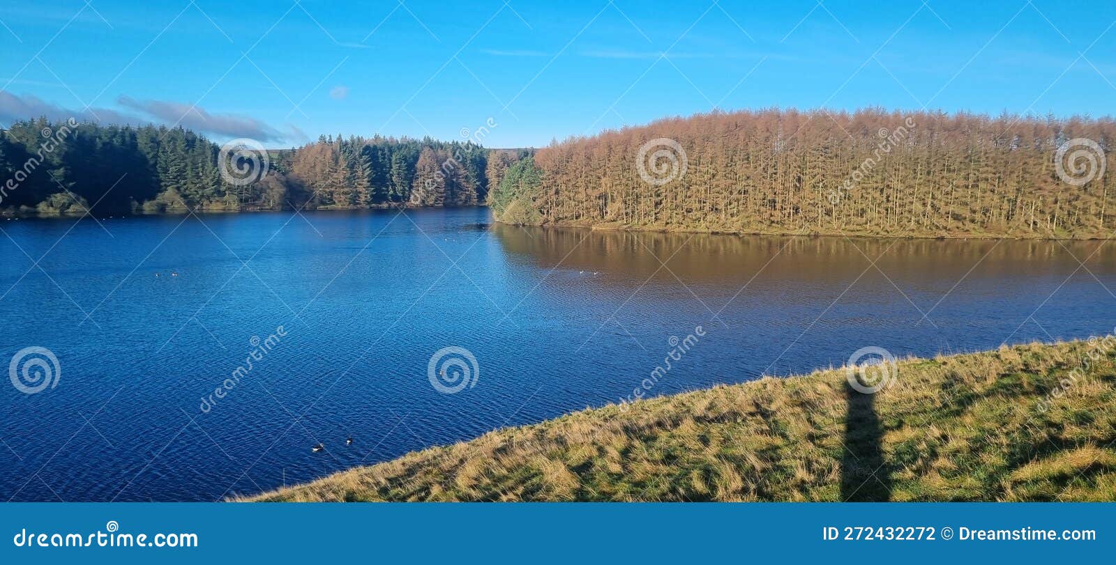 Thruscross Reservoir Yorkshire Stock Photo - Image of yorkshire ... Thruscross Reservoir Yorkshire Stock Photo - Image of yorkshire ...