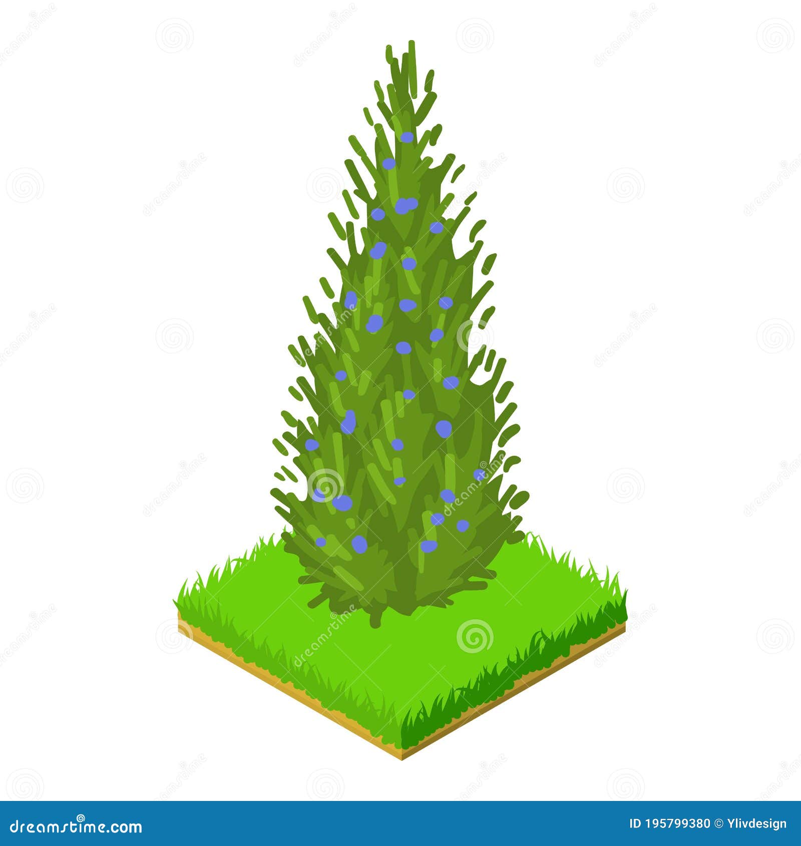Thuja Icon, Isometric Style Stock Vector - Illustration of detached ...