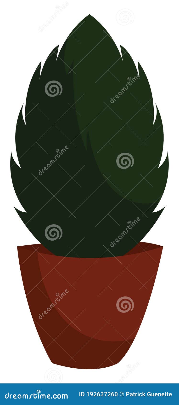 Thuja in Pot, Illustration, Vector Stock Vector - Illustration of ...