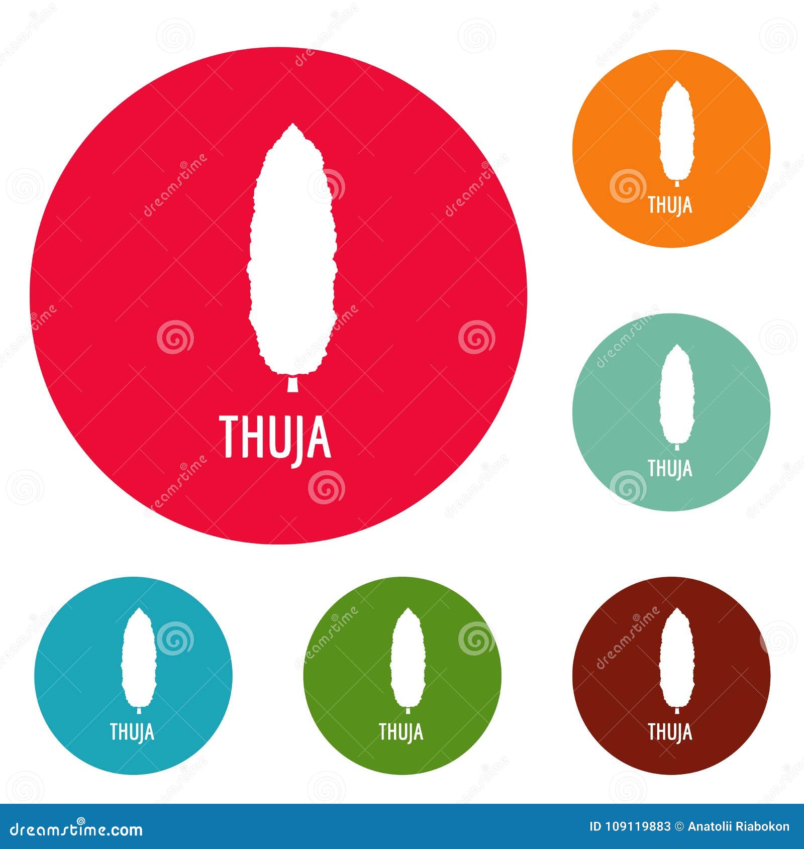 Thuja Tree Icons Circle Set Vector Stock Vector - Illustration of park ...
