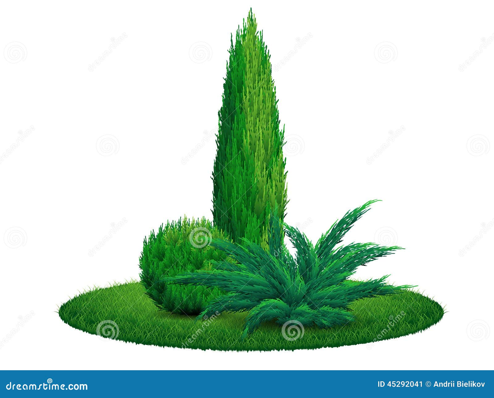 Thuja Tree Juniper Bush on the Grass Stock Vector - Illustration of ...