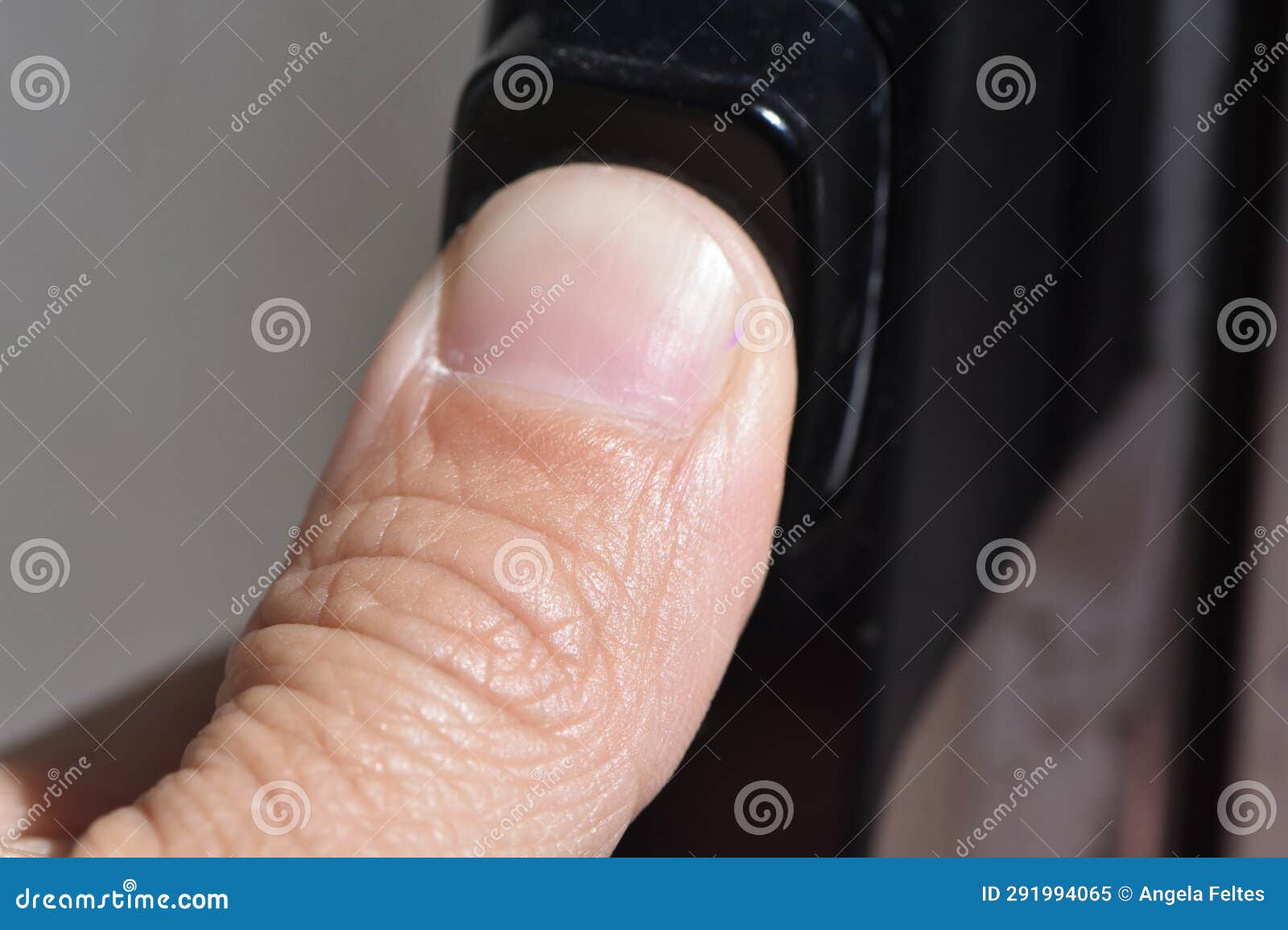 Thumb on Push Button Screen Door Handle Stock Image - Image of ...