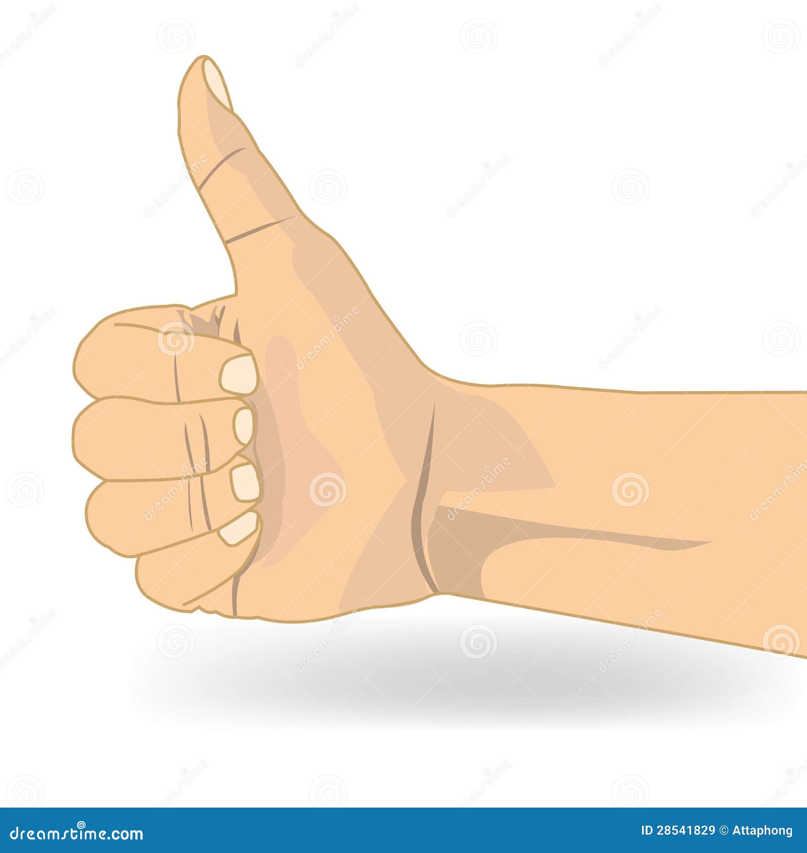 Like Hand Sign, Hand Thumbs, Show Hand Thumb Symbol, Thumb Up For Ok ...