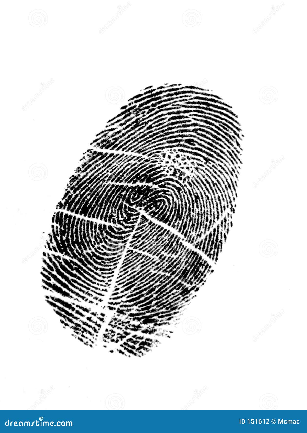 Thumbprint stock photo. Image of thumb, identity, impression - 151612
