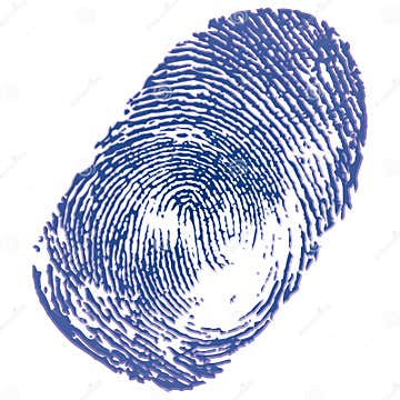Thumbprint stock vector. Illustration of detective, macro - 18220061