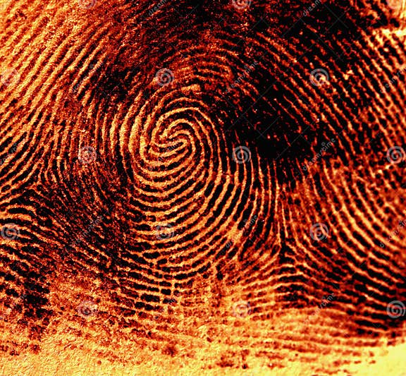 Thumbprint stock photo. Image of fake, covering, biometric - 7447392