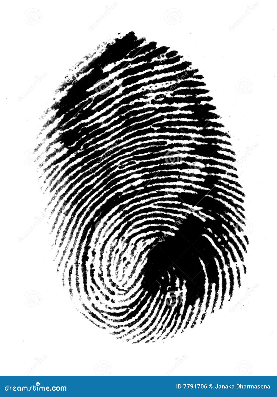 Thumbprint stock photo. Image of look, fake, blank, finger - 7791706