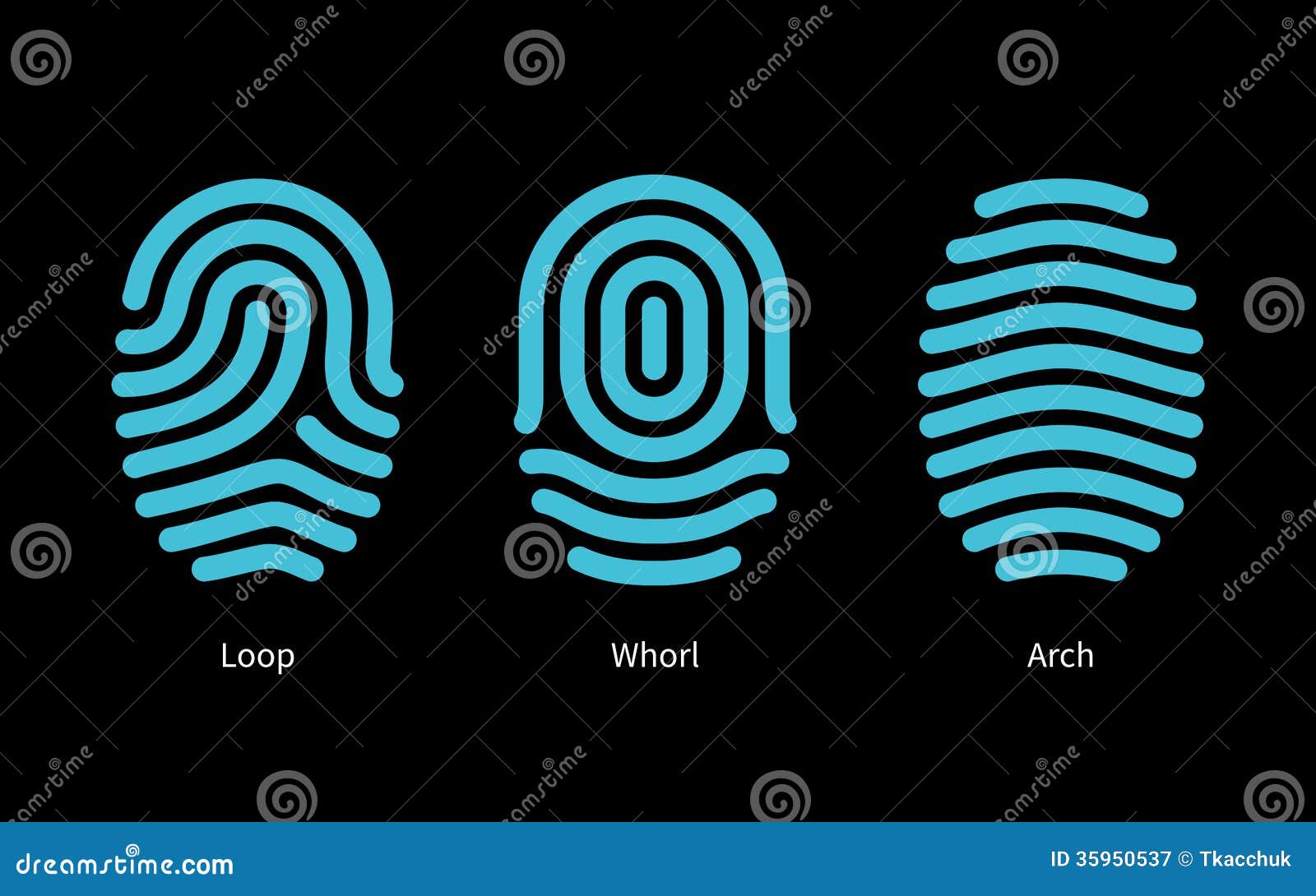 Thumbprint Types on Black Background. Stock Image - Image of ... Thumbprint Types on Black Background. Stock Image - Image of ...