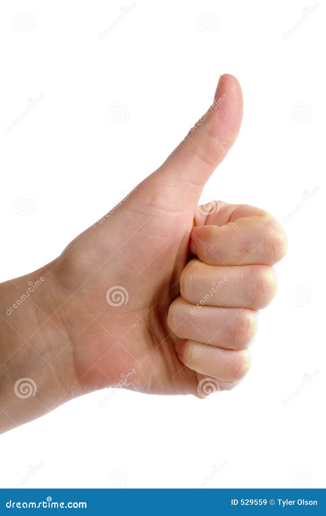 Thumbs Up stock image. Image of point, recognition, hitch - 529559