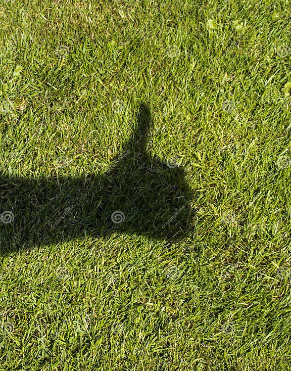 Thumbs up shadow stock photo. Image of receiving, isolated - 32217058