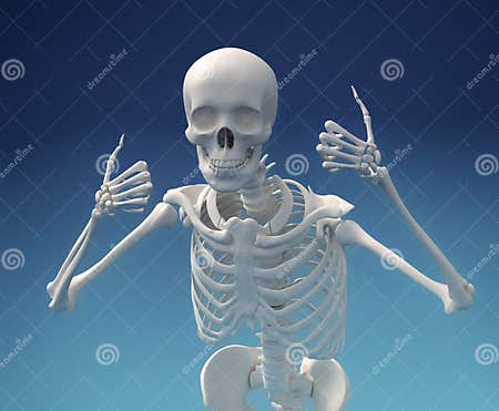 Thumbs up skeleton! stock illustration. Illustration of optimism - 10259099