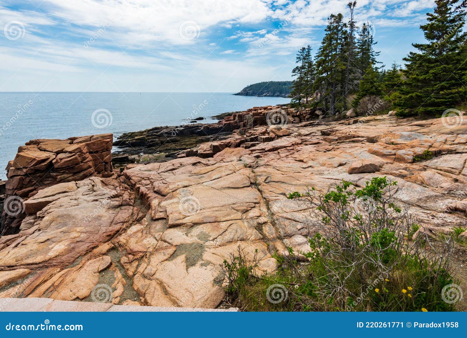 Thunder Hole in Acadia National Park Stock Image - Image of rock, shore ...