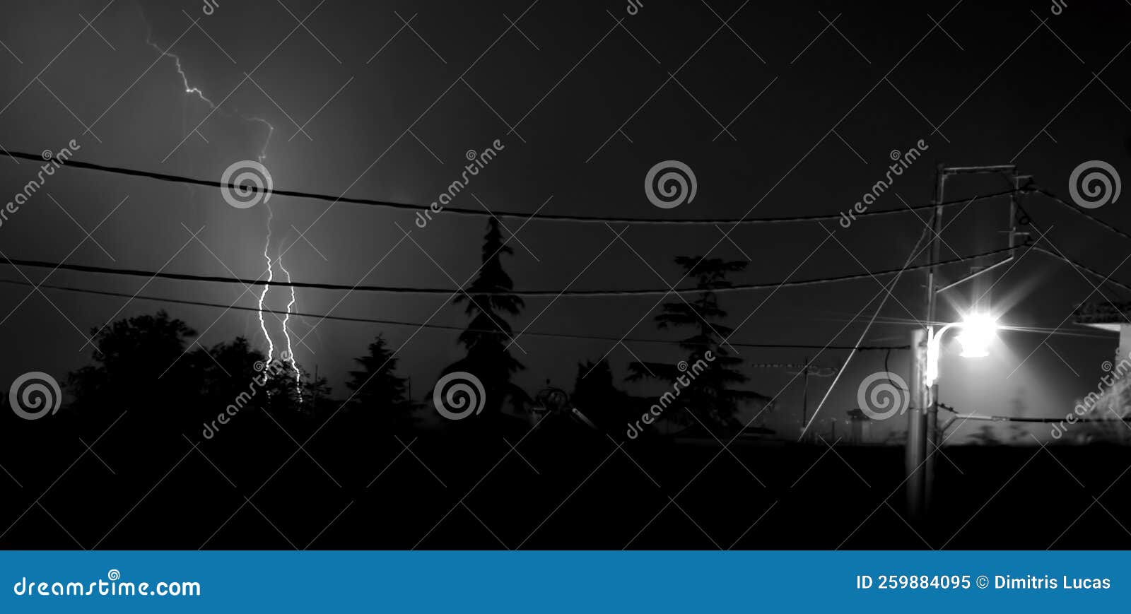 Thunder in the Night with Blue Color and Trees Stock Image - Image of ...