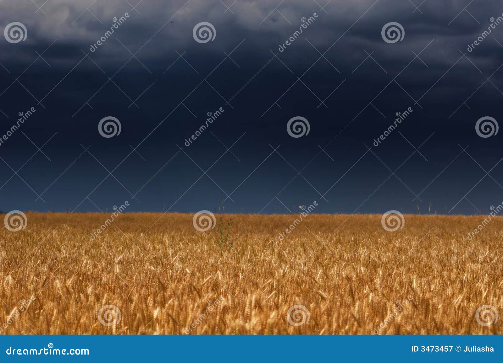 Thunder sky above field stock image. Image of colors, rural - 3473457