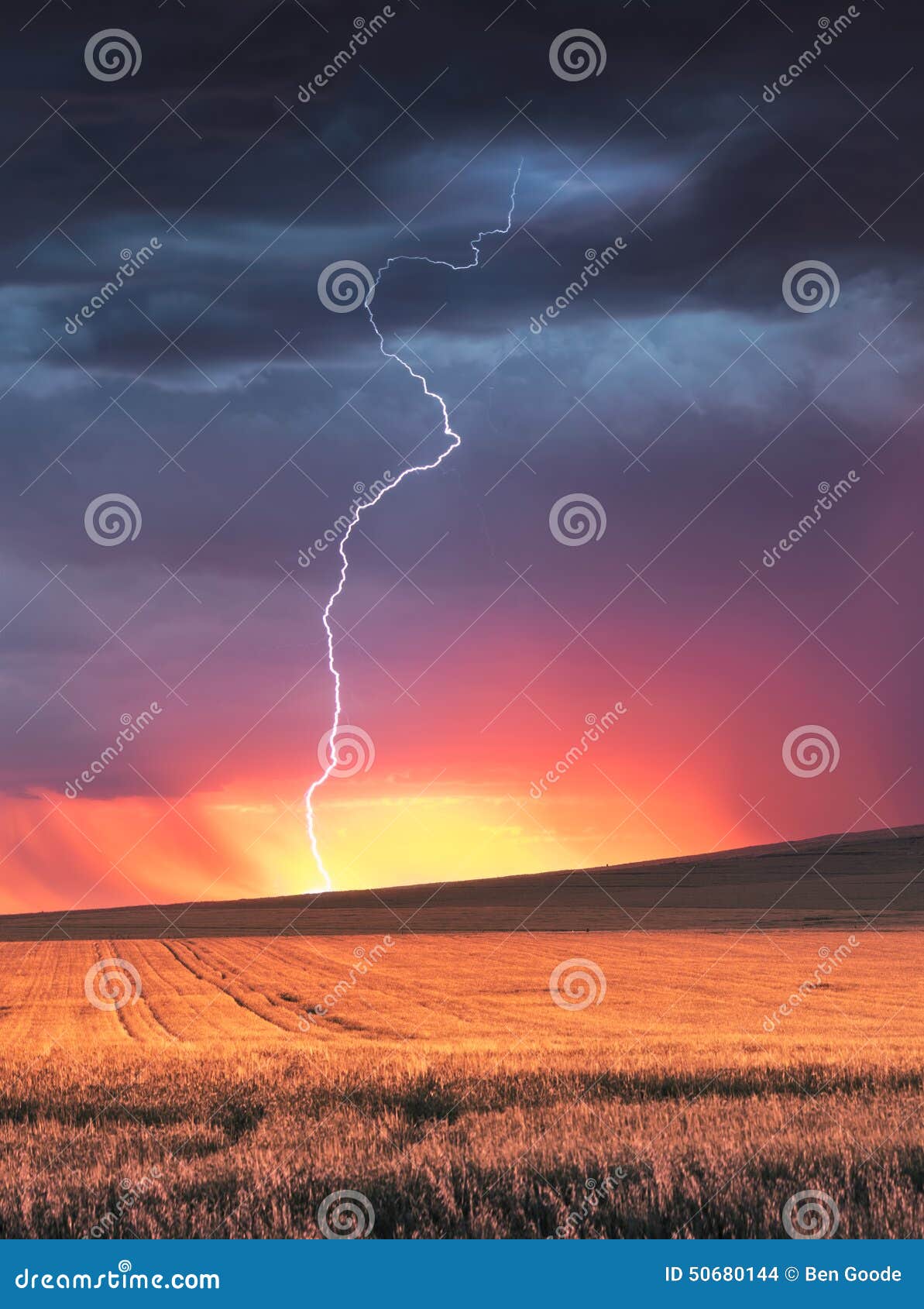 Thunder Struck stock photo. Image of meadow, storm, australia - 50680144