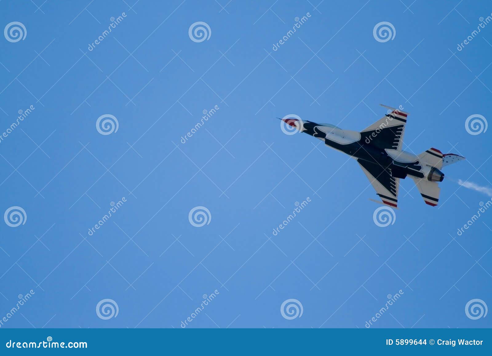 Thunderbird In Flight Picture. Image: 5899644