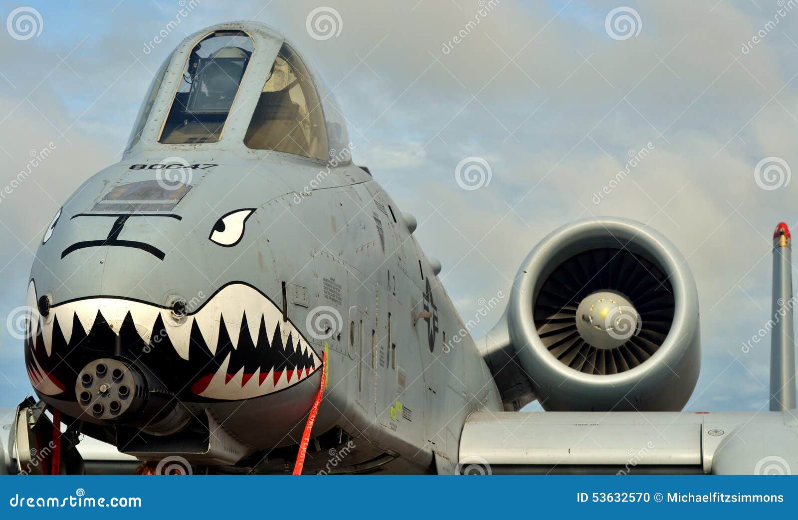 Military A10 Warthog Thunderbolt Jet Aircraft Editorial Photo ...