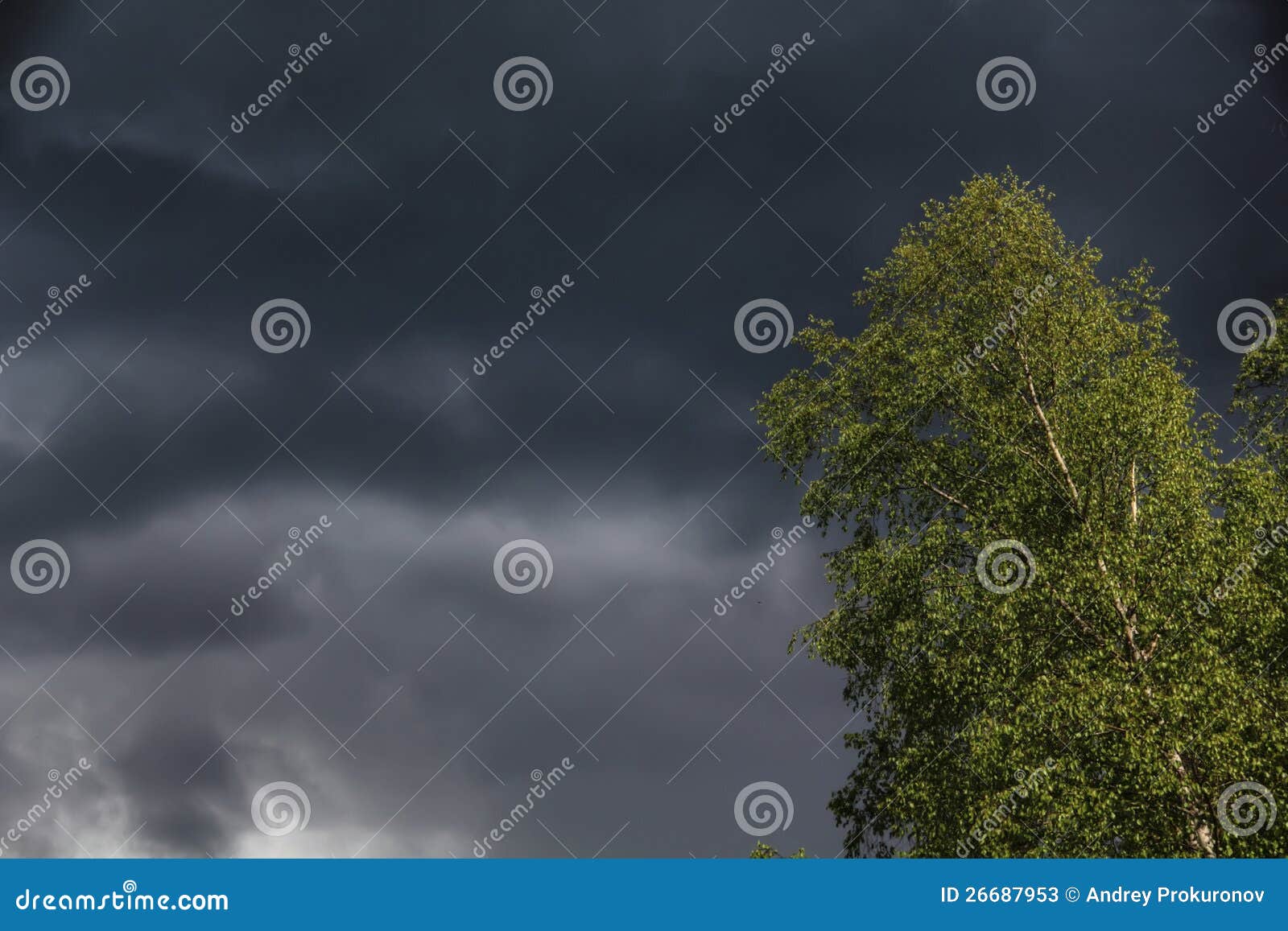 Thunderclouds. Tree. stock image. Image of landscaped - 26687953