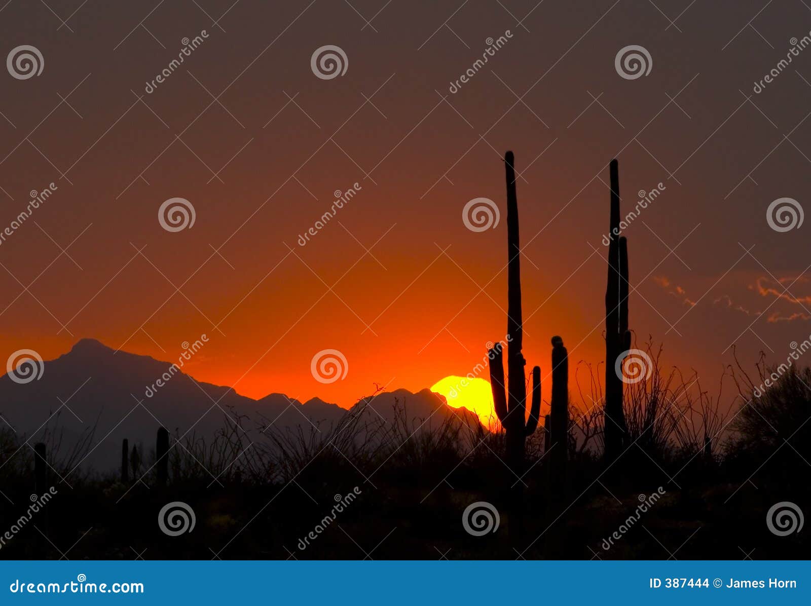 Thundershower Sunset stock photo. Image of cactus, thundershower - 387444