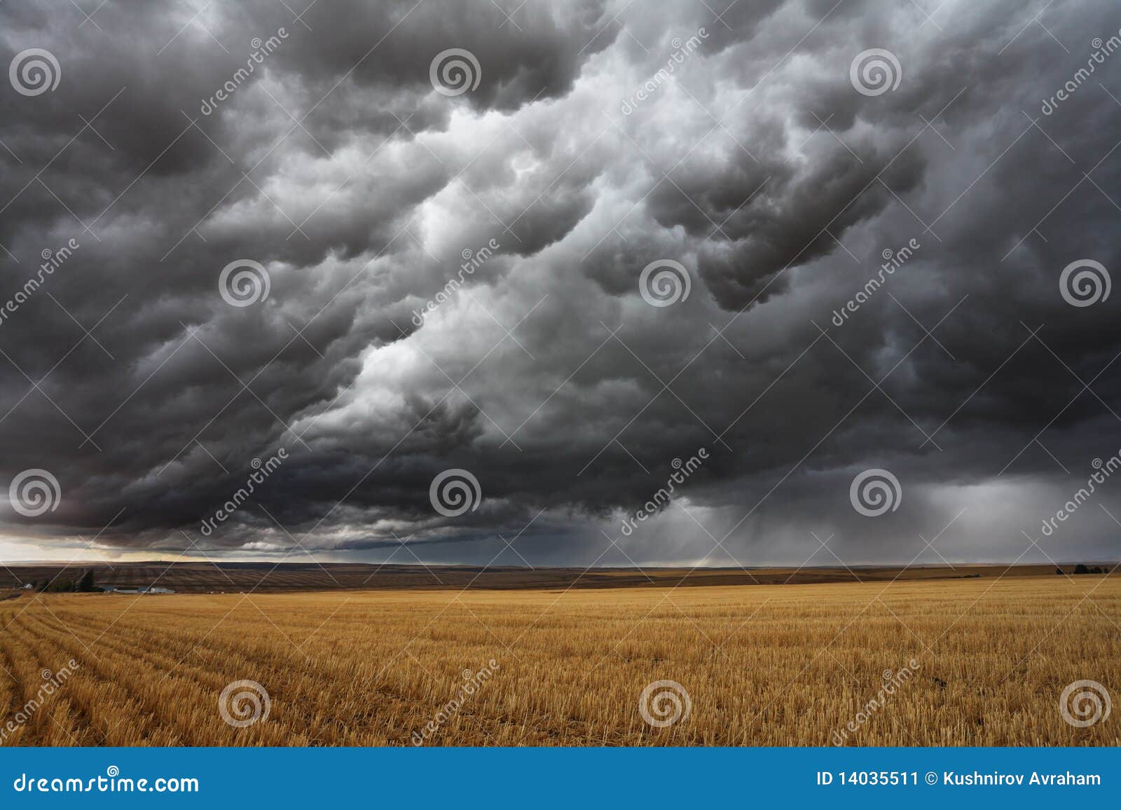 Thunderstorm above fields. stock image. Image of scene - 14035511