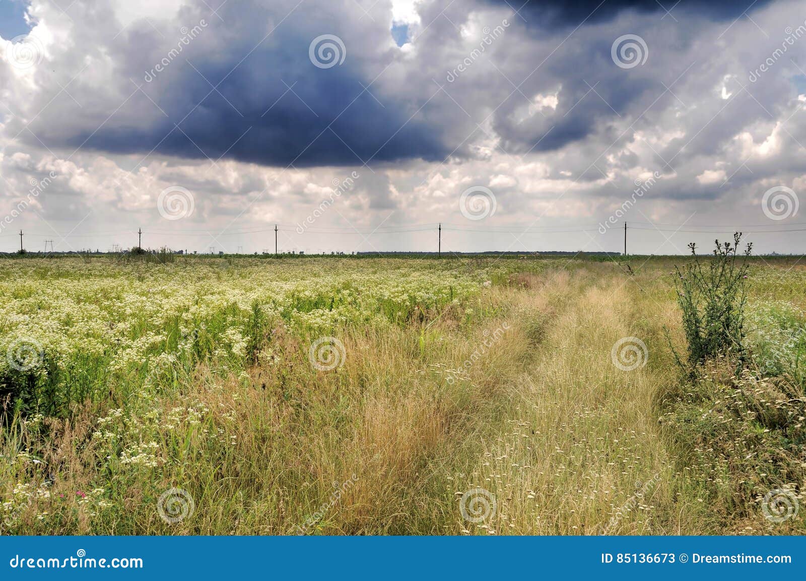 Thunderstorm is coming stock image. Image of rain, autumn - 85136673
