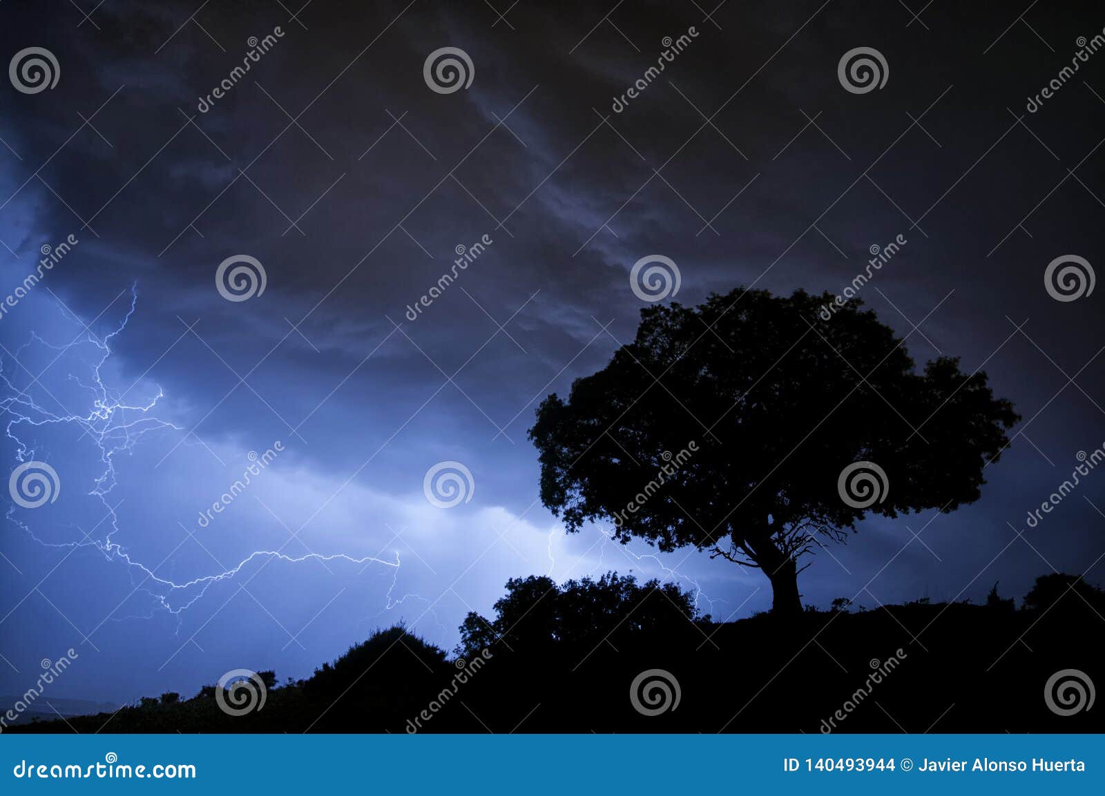 Lightning And The Tree Royalty-Free Stock Image | CartoonDealer.com ...