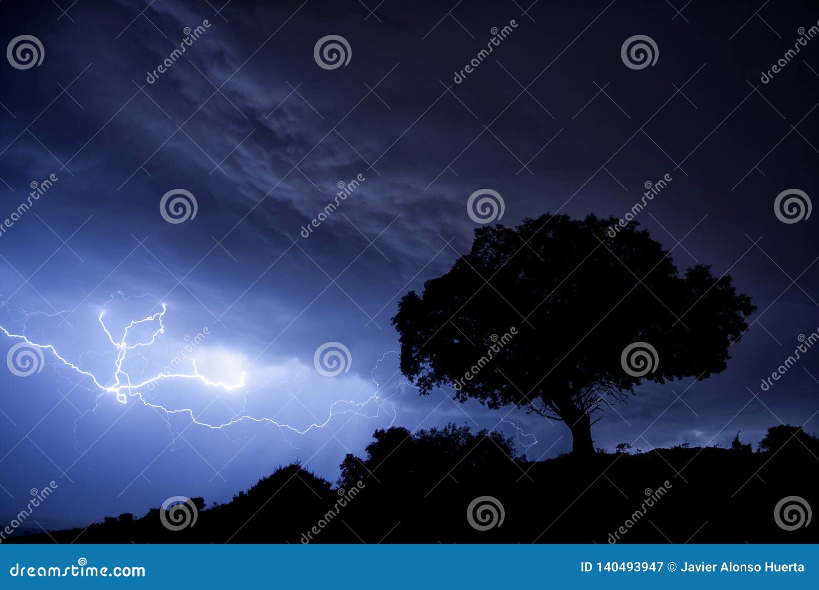 Lightning Tree Stock Photo | CartoonDealer.com #43948176