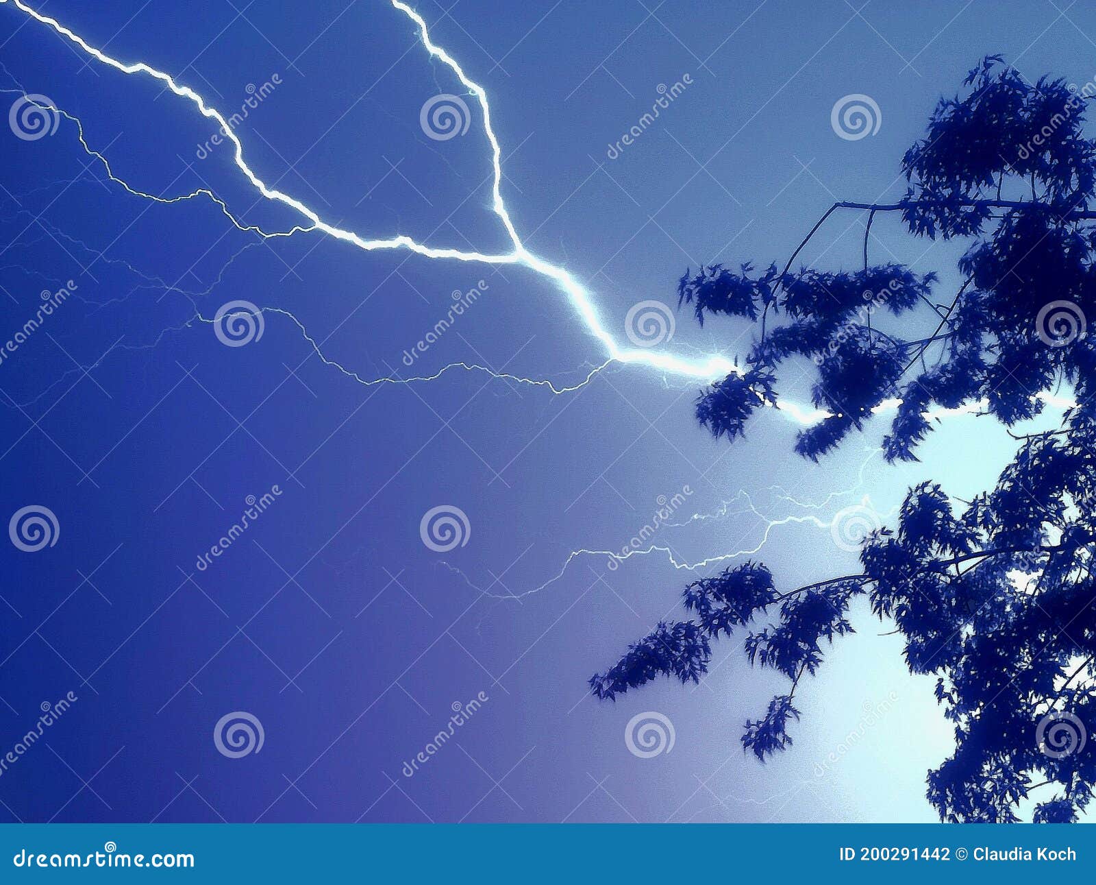 Thunderstorm at night stock photo. Image of thunder - 200291442